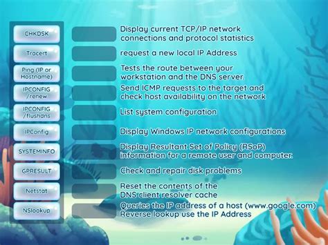 network system information and networking troubleshooting commands