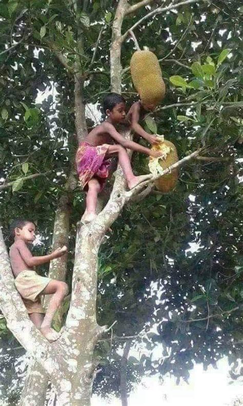 Buddhism බුදු දහම