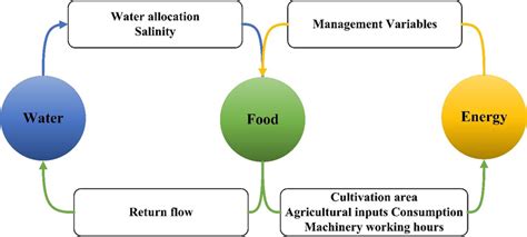 The Nexus Variables Flow Among Wfe Subsystems In The Nexus System