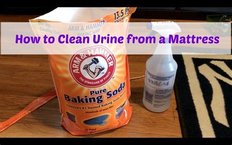 How To Clean Urine From A Mattress Youtube Cat Urine Remover