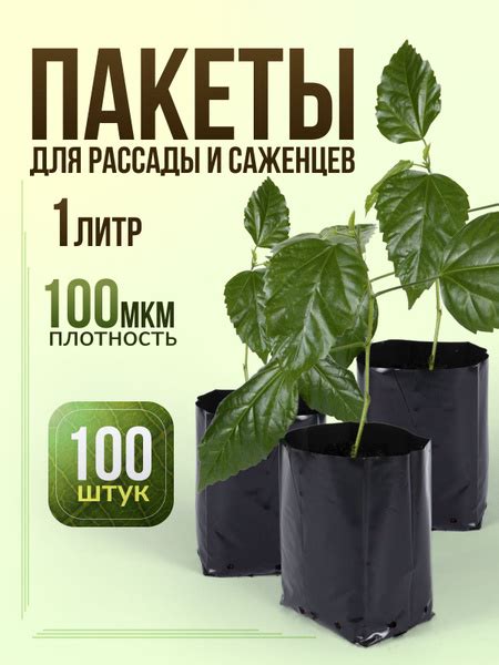 Пакеты для рассады 1л 100 штук, плотные черные купить на OZON по низкой ...