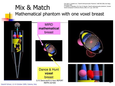 Ppt Gean4 Human Phantom Advanced Example A Geant4 Anthropomorphic
