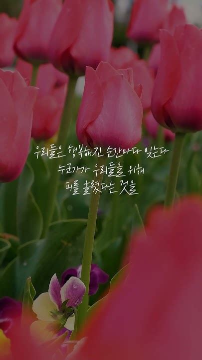 📖한주한줄📝 우리들은 행복해진 순간마다 잊는다 누군가가 우리들을 위해 피를 흘렸다는 것을 Youtube