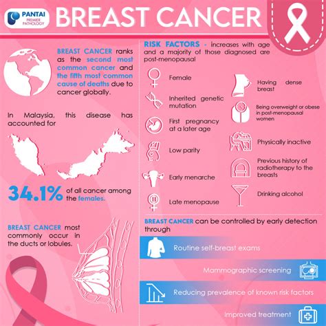 Breast Cancer Symptoms And Risk Factors Premier Integrated Labs