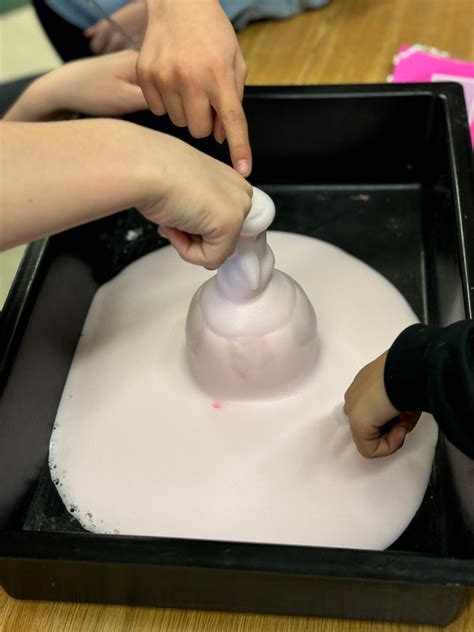 Ms Mogck S Classroom Science