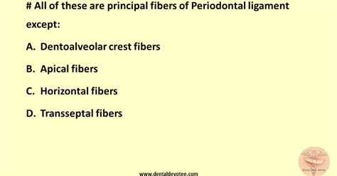 Dentosphere World Of Dentistry Principal Fibers Of Pdl