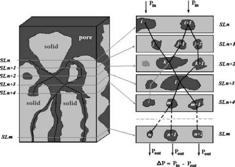 Serial Sectioning With An Overlap Criterion 6 Download