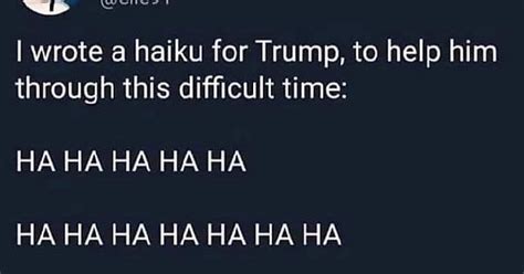 Haiku For Cheeto Face Album On Imgur