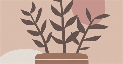 ピンクの背景に葉を持つ鉢植えの植物のベクター Unsplashのバックグラウンドの画像