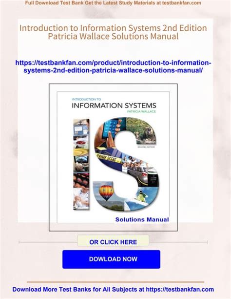 Introduction To Information Systems 2nd Edition Patricia Wallace
