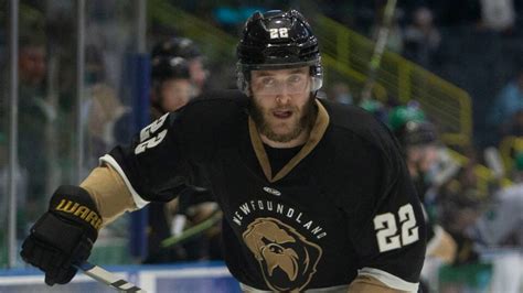 Echl Terminates Newfoundland Growlers Yardbarker