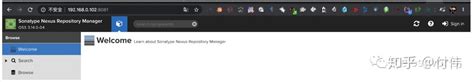Nexus Repository Manager Cve