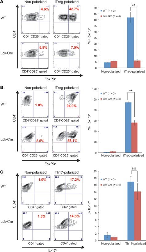Figure 6 From Smad4 Deficiency In T Cells Leads To The Th17 Associated