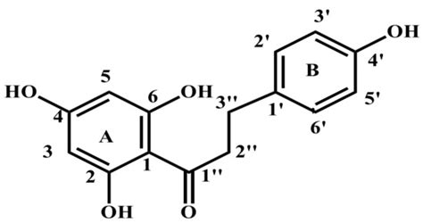 Molecules Free Full Text Phloretin As A Potent Anticancer Compound