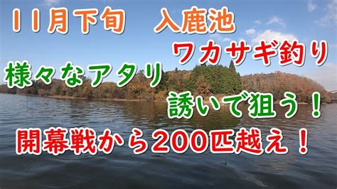 わかさぎ釣り 2022年開幕戦様々なアタリや誘いで200匹越え今年も調子良い YouTube
