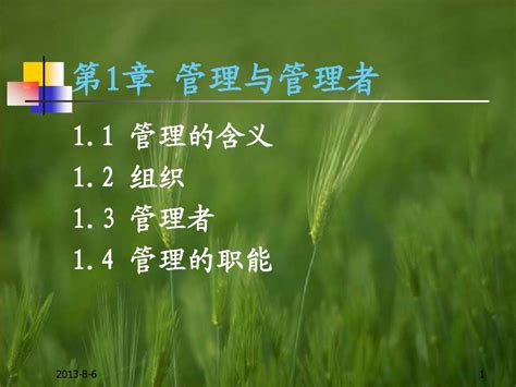 第1章 管理与管理者word文档在线阅读与下载无忧文档