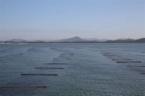 충남도 김산업 진흥구역지정 행정력 모은다 파이낸셜뉴스