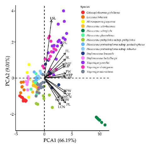 Principal Component Analysis Pca Related To Floral Morphological