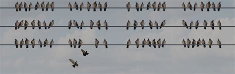 How Executive Leaders Drive Successful Plan Execution With Alignment