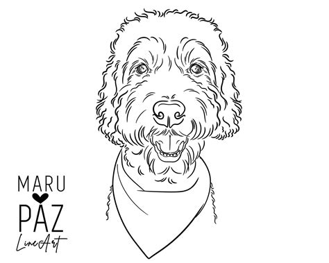 Cavapoo Coloring Pages Coloring Nation