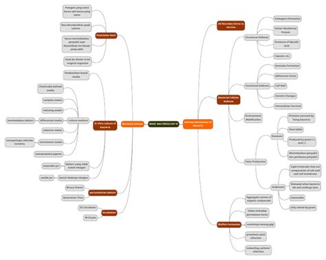 Basic Bacteriology B Pdf Bacteria Cell Biology