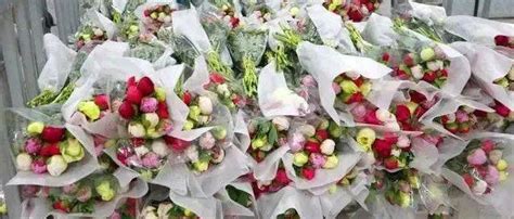 “520”，菏泽芍药为爱情“锦上添花”！都司镇种植牡丹
