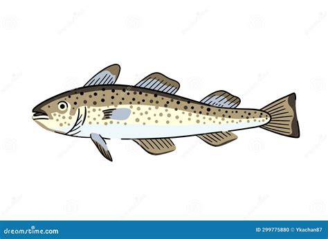 Cod Fish Commercial Seafood Fish Isolated Design Element Stock Vector