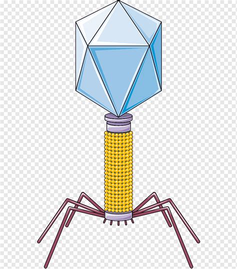 박테리오파지 박테리아 Servier 의료 바이러스 박테리오파지 각도 포스터 대칭 Png Pngwing