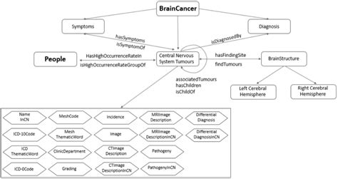 Frontiers A Computer Aided Diagnosis System For Brain Tumors Based On Artificial Intelligence