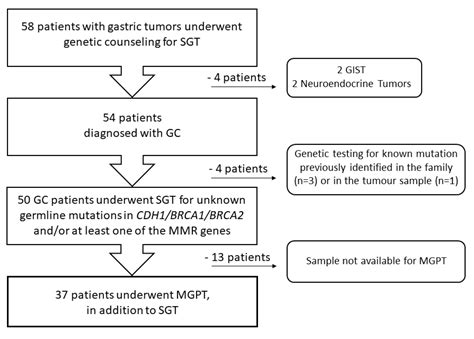 Hereditary Gastric Cancer Single Gene Or Multigene Panel Testing A