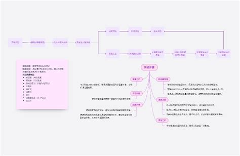 化学实验步骤流程图 Boardmix模板