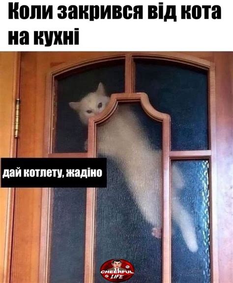 Nataliia Lutsiv Posted On Linkedin