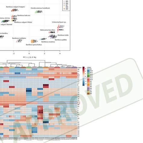 Principle Component Analysis Pca And Two Way Heat Map Of The