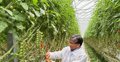 Bionema Launches New Biofertiliser Range News Fruitnet