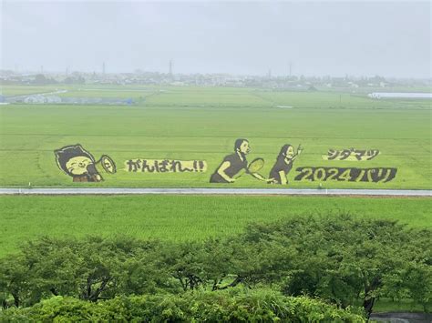 秋田県八郎潟町で「シダマツペアの田んぼアート」を楽しもう！ あきた Town Walk あっぷる｜秋田タウン情報