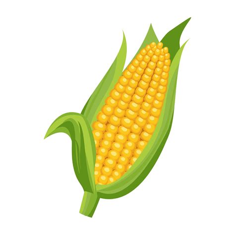 Cartoon Vector Illustration Isolated Object Fresh Food Vegetable Sweet
