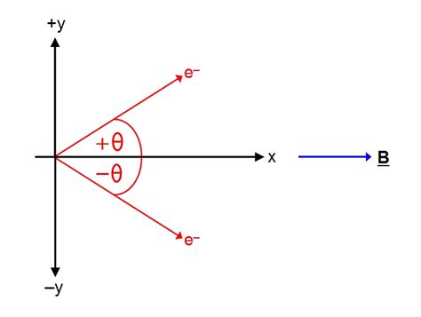 Particle Paths