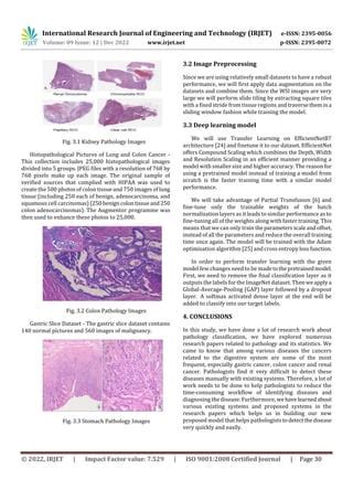 Generalized Deep Learning Model For Classification Of Gastric Colon