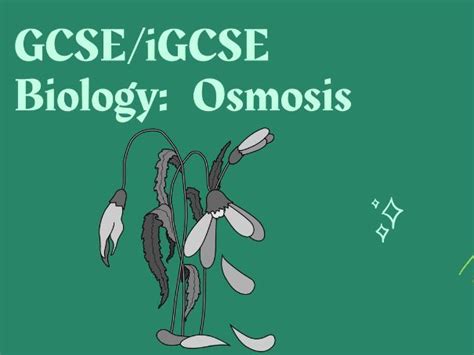Gcseigcse Biology Osmosis Teaching Resources