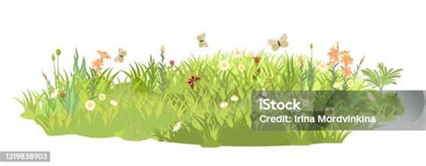 꽃이 있는 조밀한 여름 초원 나비 잔디 잔디 녹색 덤불 잔디 지역 운동장 장소 아름다운 풍경 흰색 배경에 격리 플랫 스타일 만화 디자인 벡터 곤충에 대한 스톡 벡터 아트 및