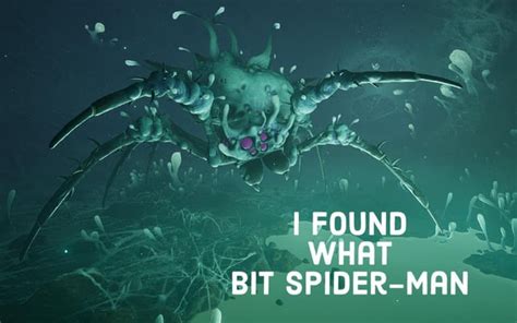 I Found Wat Bit Spider Man R Groundedgame