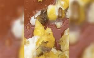 Moroccan Restaurant Scandal Cockroach In Tagine Sparks Food Safety