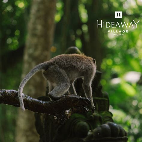 Hideaway Village Bali Ubud