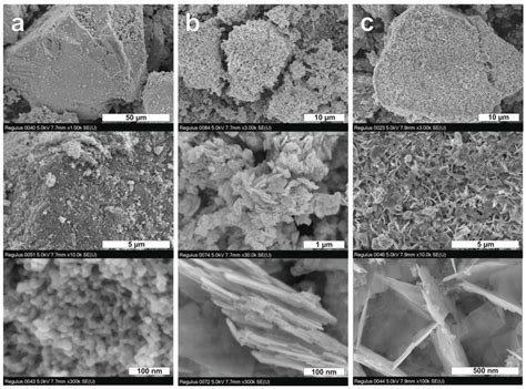 Sem Micrographs Of Tio2 N A Bi2wo6 B And Bi2wo6tio2 N 5100