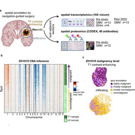 Akoya Biosciences Inc On Linkedin Integrative Spatial Analysis Reveals A Multi Layered