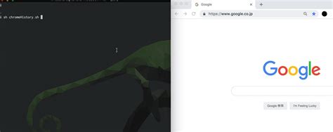 Chrome Shellscript