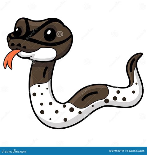 Cute Oreo Pied Ball Python Cartoon 274605191