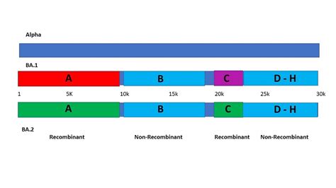 Omicron Is A Multiply Recombinant Set Of Variants That Have Evolved