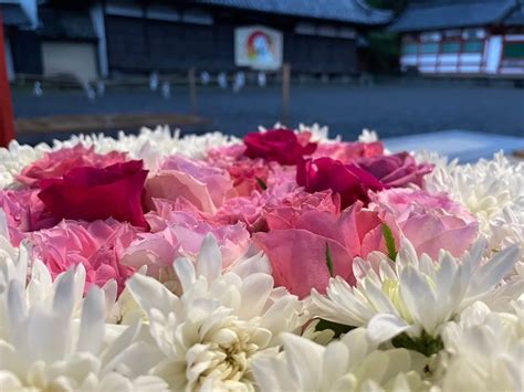 月次祭並びに花手水のご案内 南宮大社