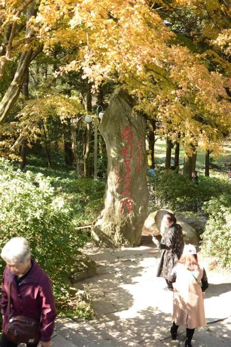 廬山風景二掛席幾千里名山都未逢泊舟潯陽郭始見香爐峰 每日頭條